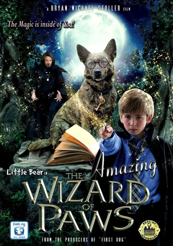 The Amazing Wizard of Paws (2015) movie posters