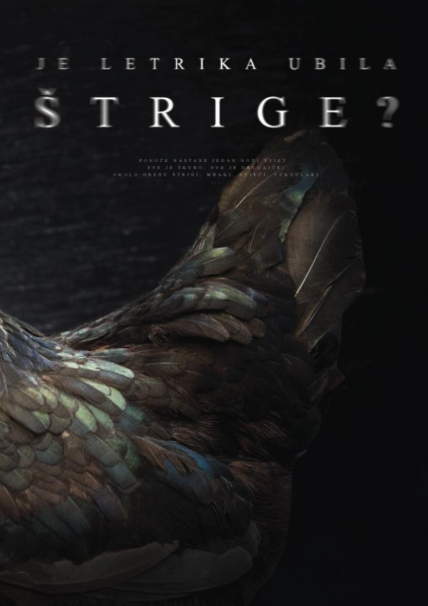 Je letrika ubila strige? (2017) - Poster HR - 595*842px