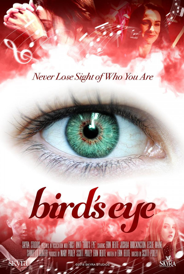 Bird's Eye (2019) - Poster US - 800*1192px