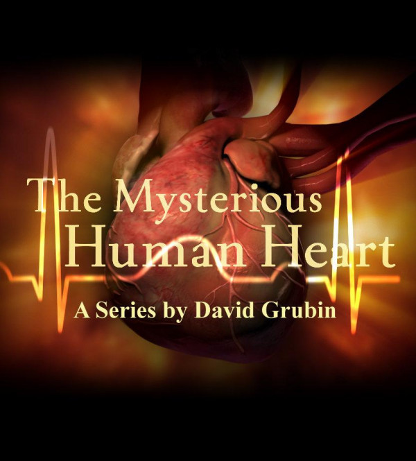 The Mysterious Human Heart (2007) - Poster US - 832*922px