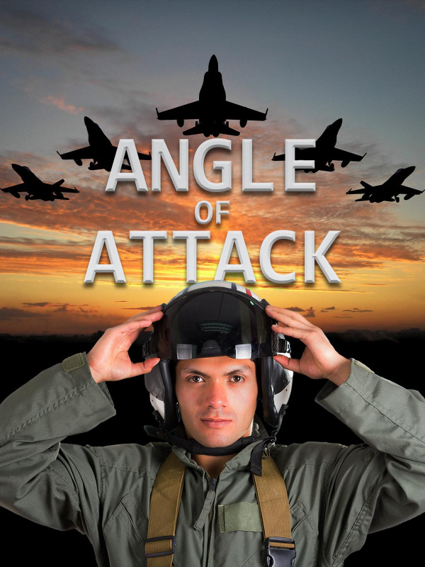 Angle of Attack: How Naval Aviation Changed the Face of War (2011 ...