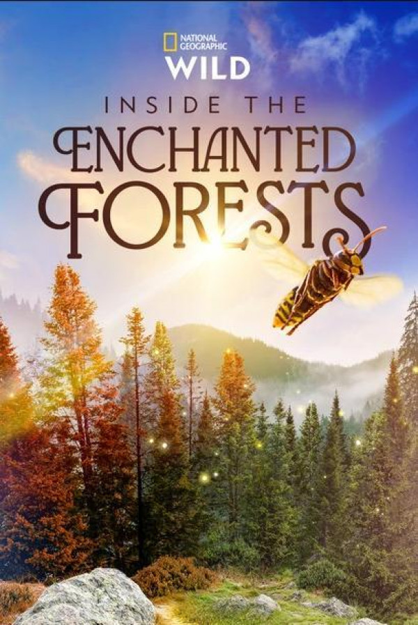 Inside the Enchanted Forests (2024) - Poster US - 410*613px